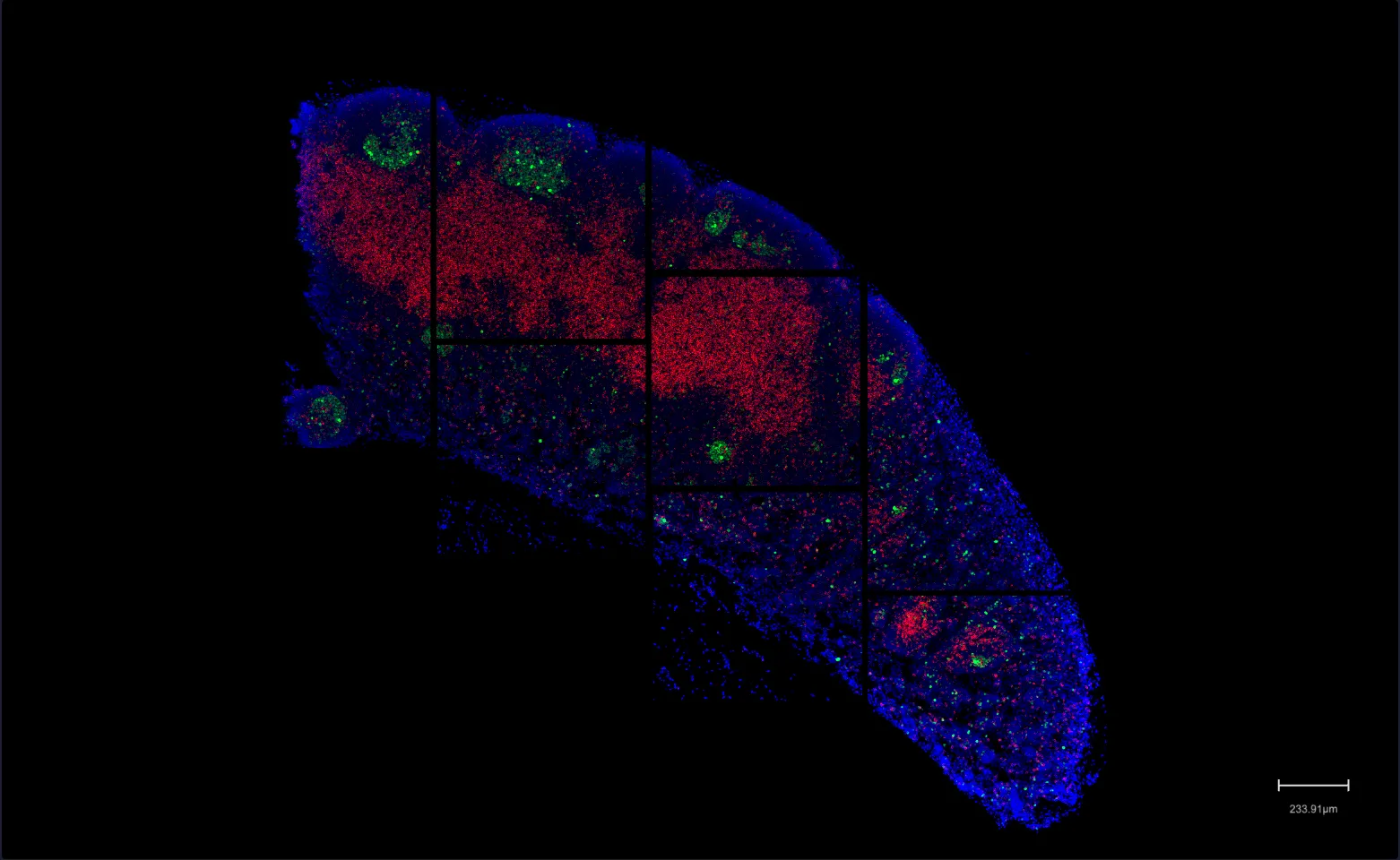 About Us Aspect Analytics Bring Your Spatial Multi Omics Data Together